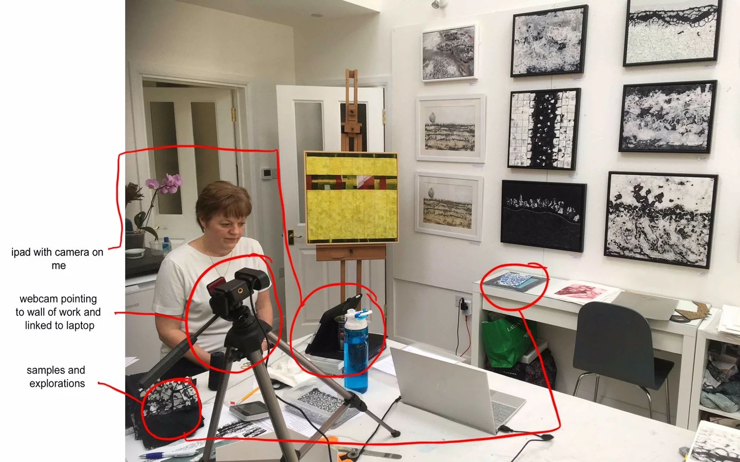 Marian Hall: An artist inspired by nature