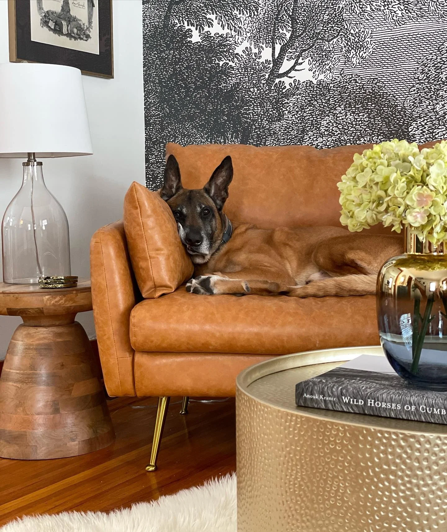 Gallery — Kris Betts Designs