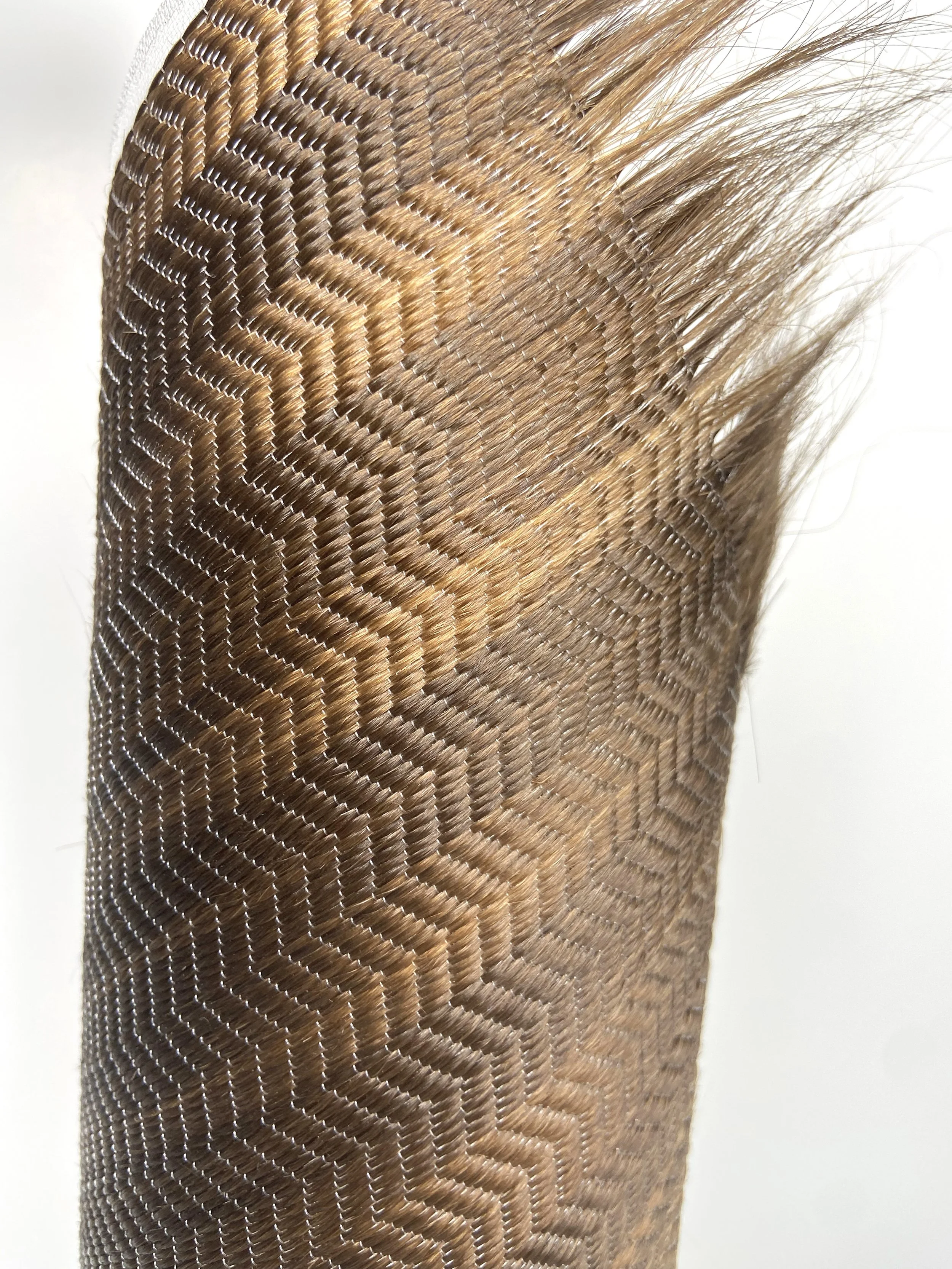 Hair Collection Guide — Hair Anthropology