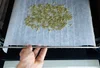 Decarboxylation Machine for Marijuana — Autoflowering Cannabis Seeds