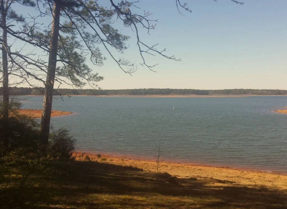 Georgia: Mistletoe State Park Near Augusta — Beach Nana