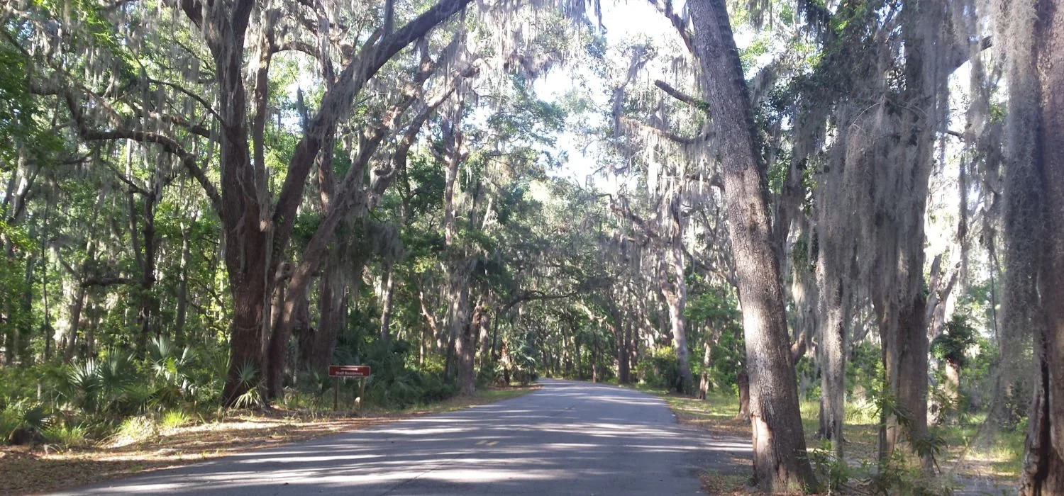 Skidaway Island State Park, Georgia — Beach Nana