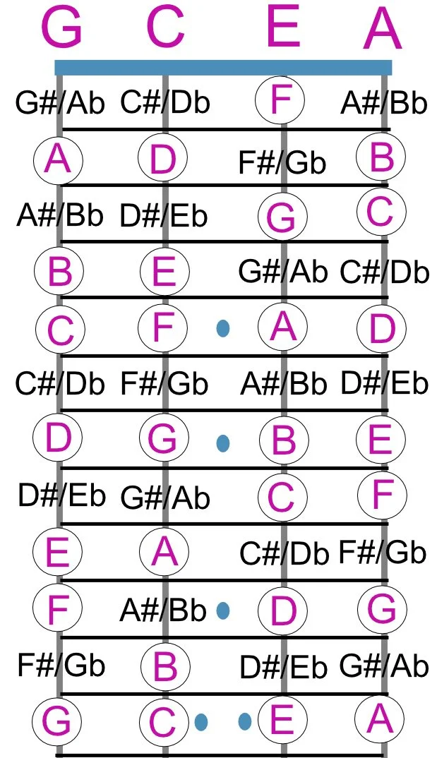 Where Do Sharps and Flats Fit When Playing the Ukulele? — Beach Nana
