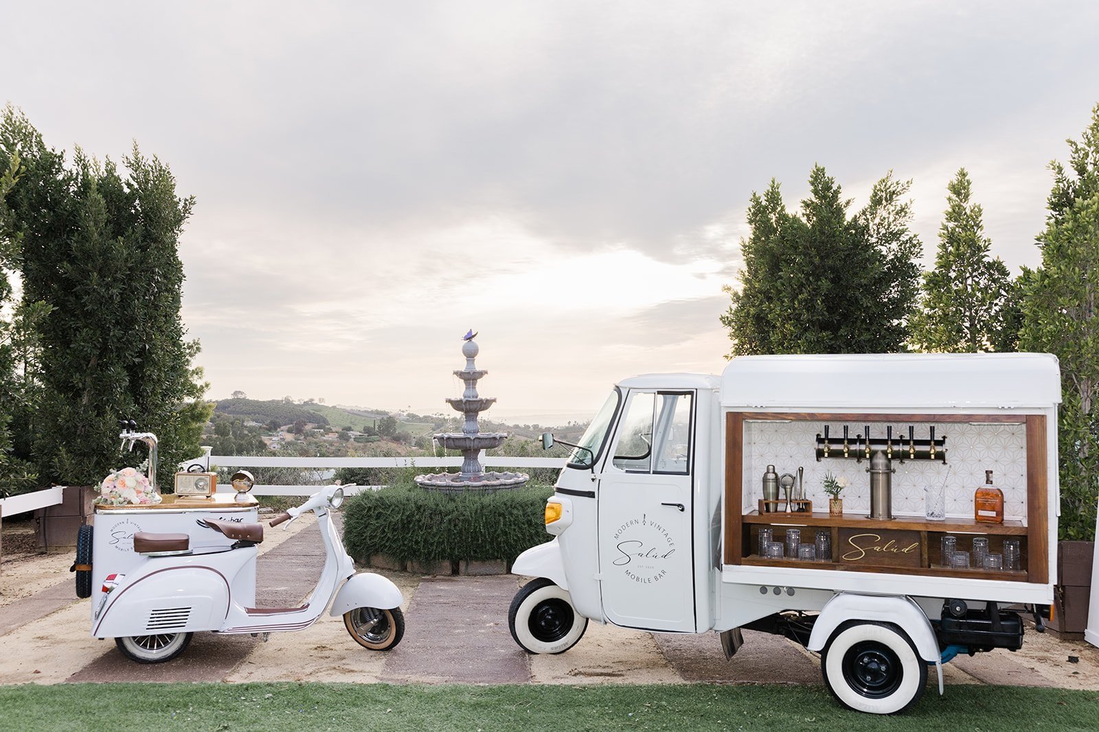 Salud Modern Vintage Mobile Bar