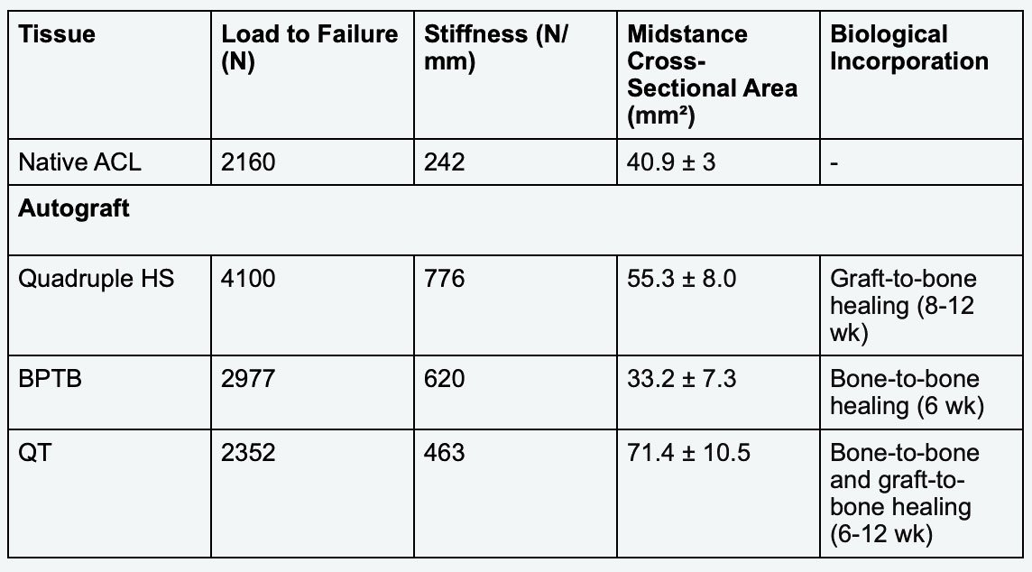 Understanding the ACL: A Comprehensive Guide — Strength Clinic