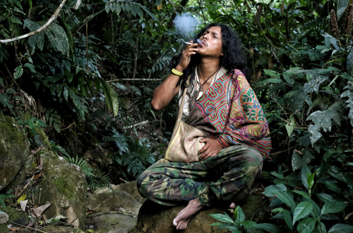 Casa de Pawua - Traditional ayahuasca ceremonies in Bolivia