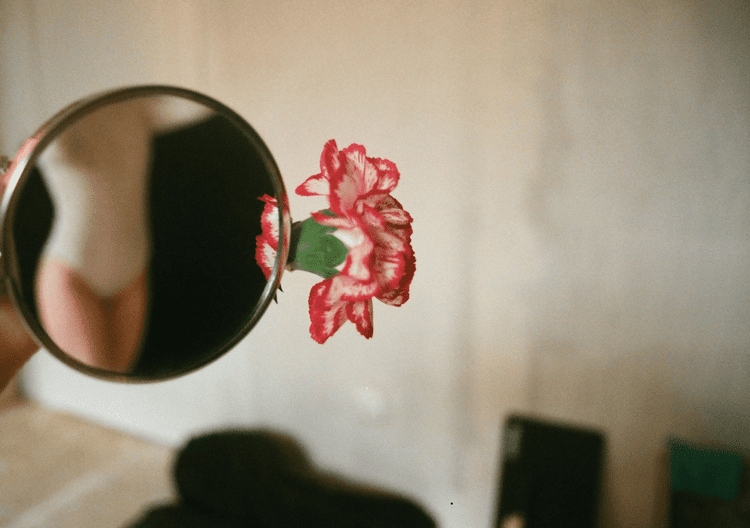 10 Body Image Exercises & Activities to Try Today — Jessica D. Ribeiro, PhD