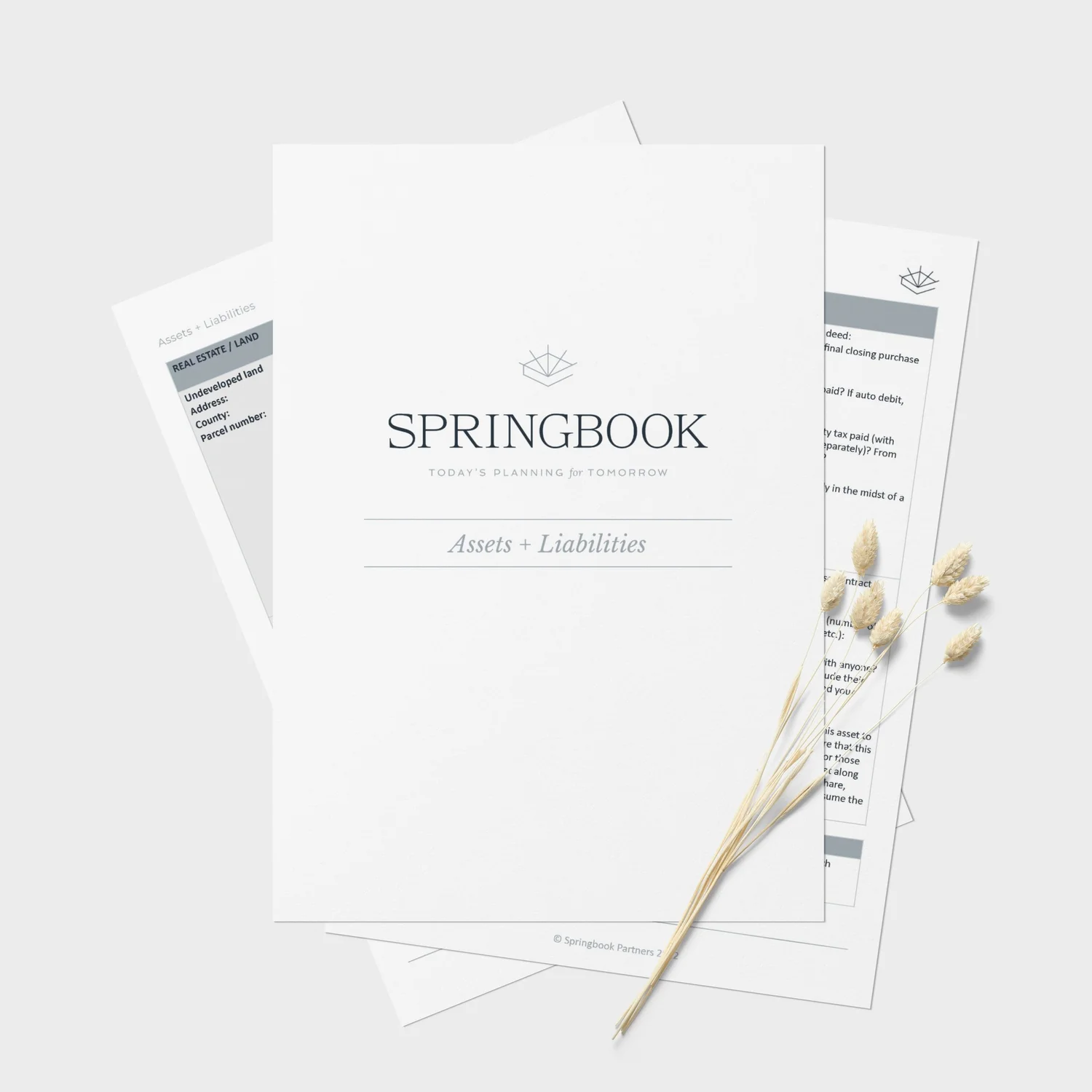 Shop — Springbook