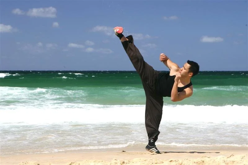 Master Chua — CHUA Martial Arts