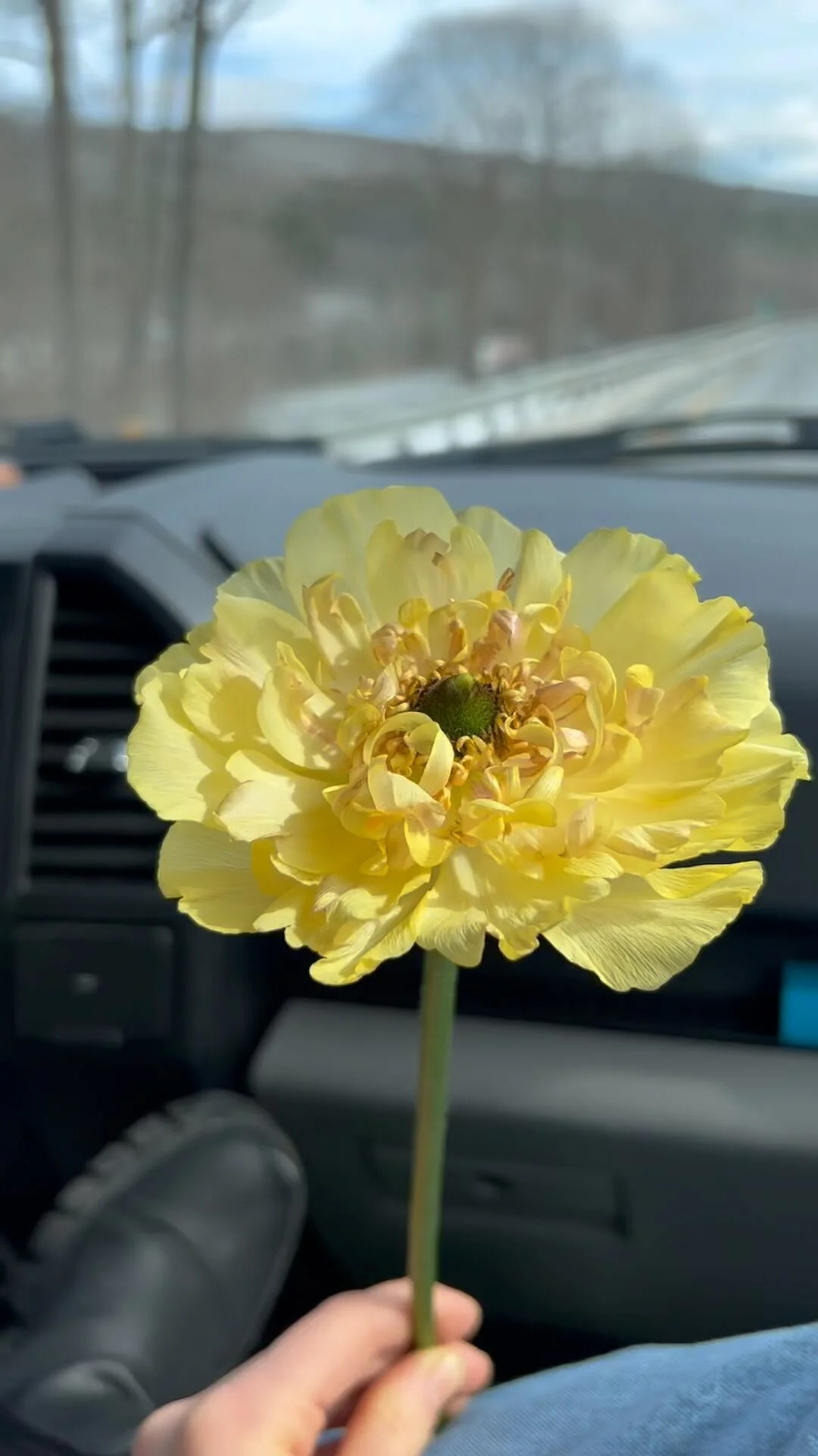 Best Somerville Florist - Berry Branch Design