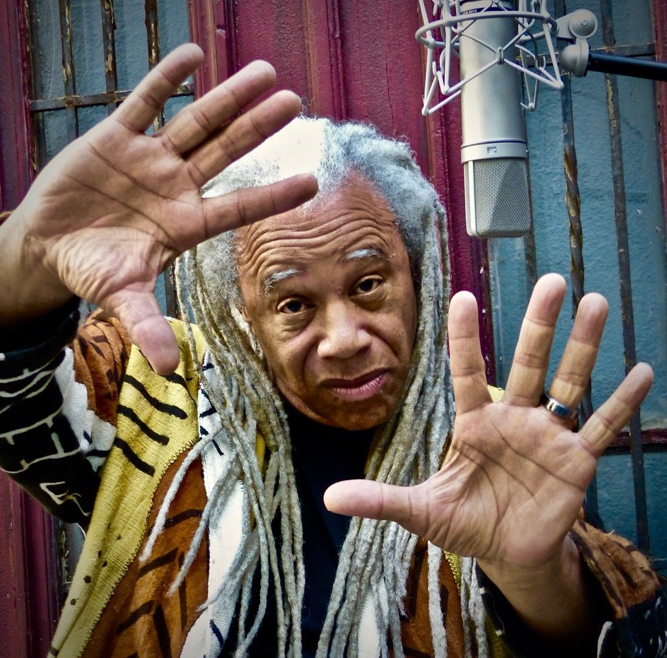 Meet Your Guide: Dave Fennoy—Voice Actor and Educator — The Voice Director