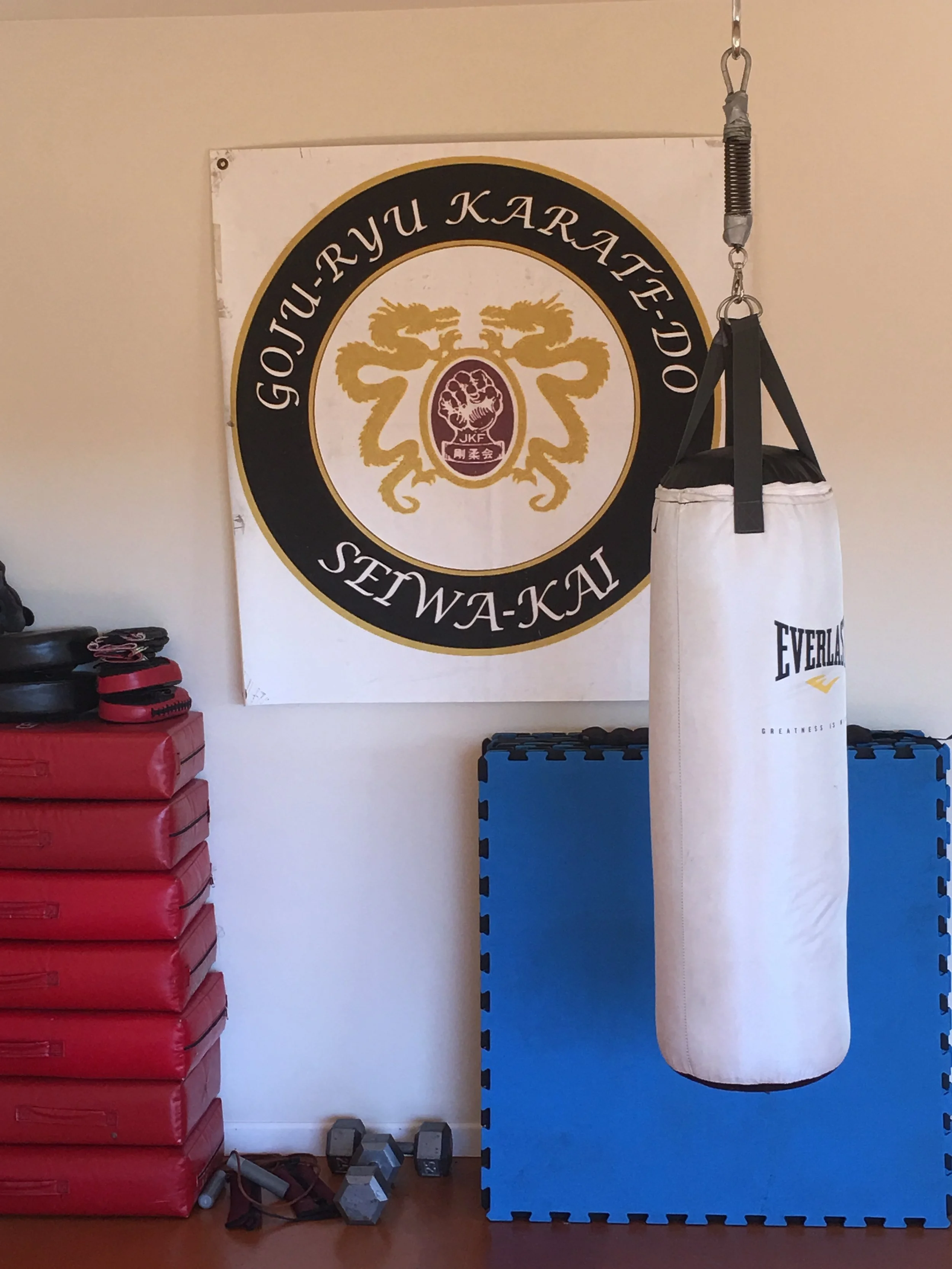 Gallery — Goju-Ryu Seiwakai Karate of New Mexico