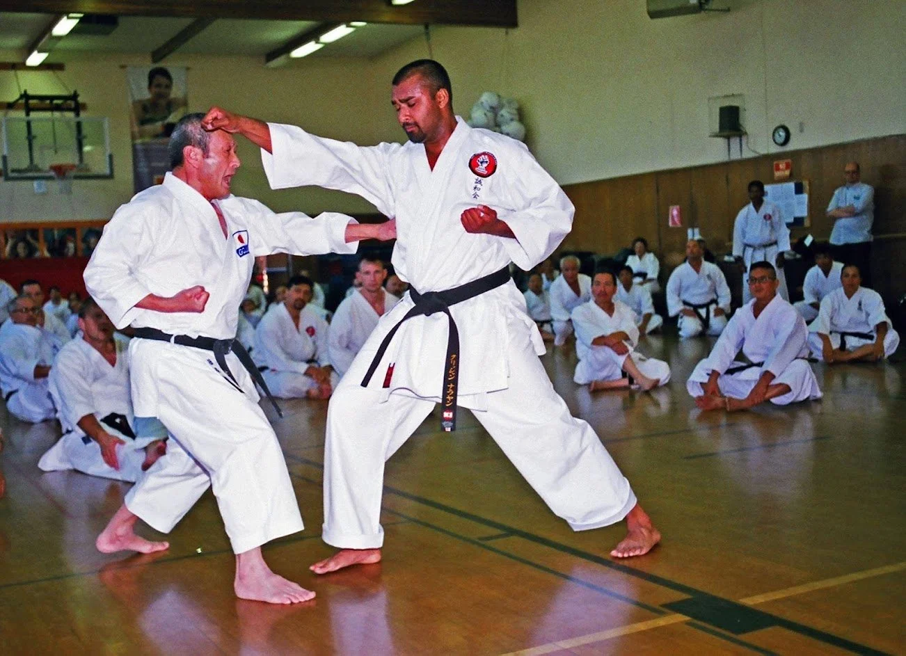 Classes — Goju-Ryu Seiwakai Karate of New Mexico