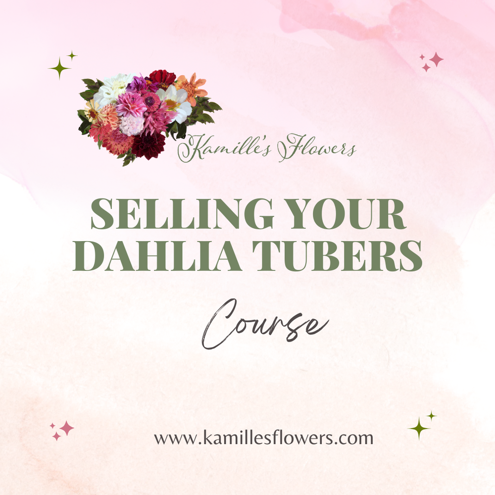 Kamille's Flowers