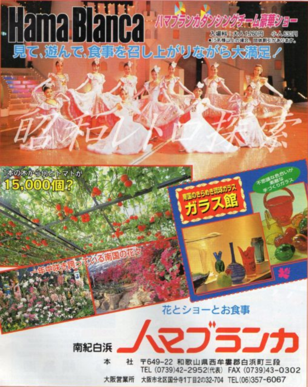 If His Name Is Blanka, Why Is He Green? — Thrilling Tales of Old Video ...