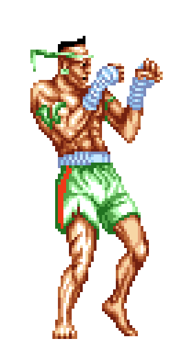 Fighter’s History: Legally Not a Street Fighter Clone — Thrilling Tales ...