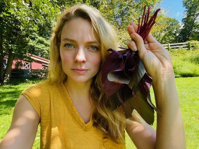Madeleine Hamer bio — DayDream Collaborative Clinic