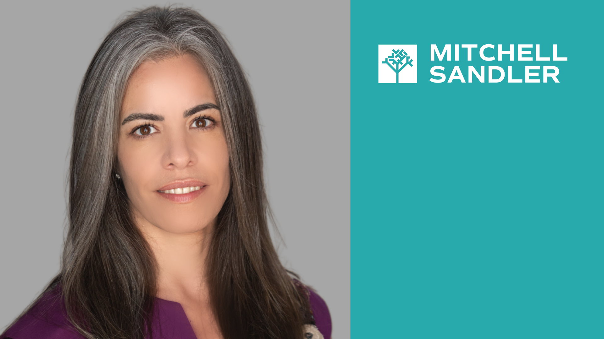 Insights — Mitchell Sandler