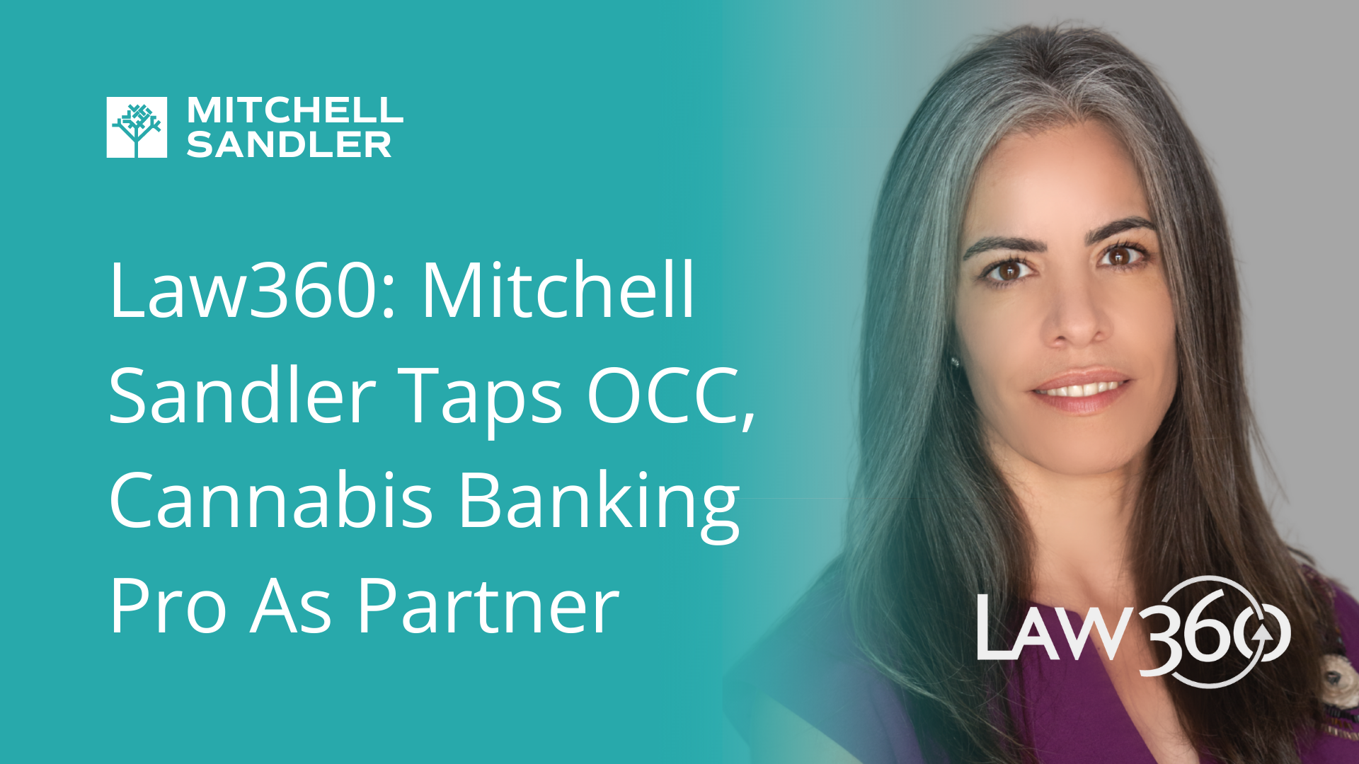 Mitchell Sandler - Financial Services Law Firm