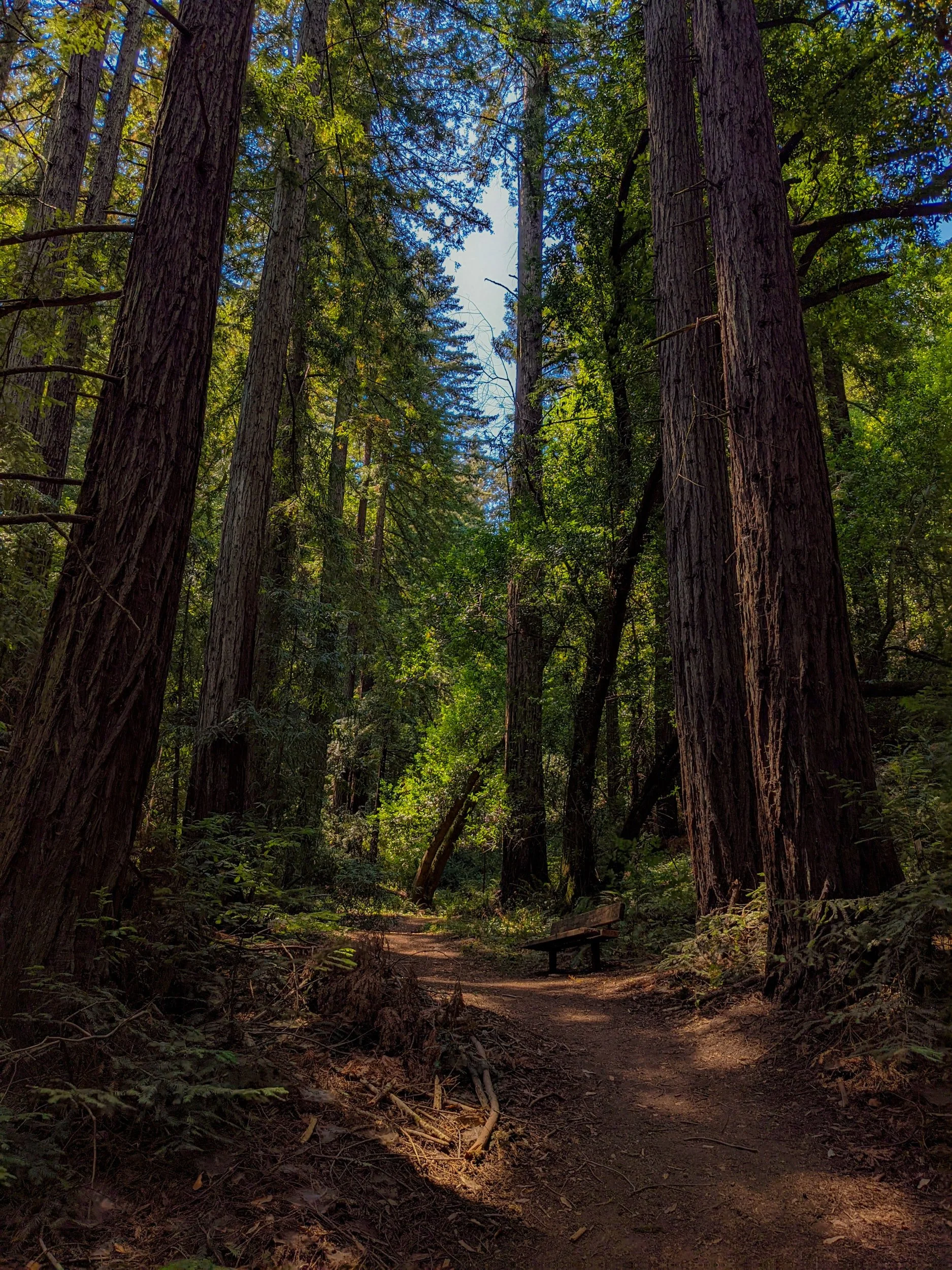 Redwood Christian Center