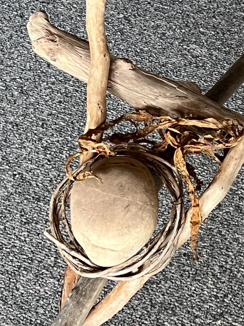 WILD CURE — SCHMITZCRAFT