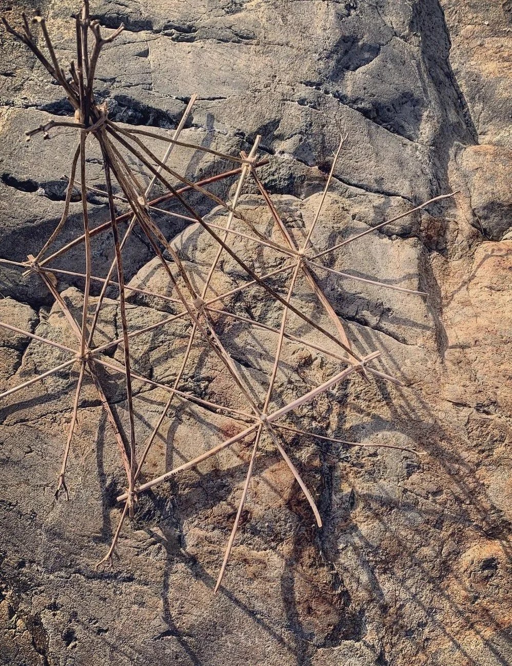 Floating Vessels — SCHMITZCRAFT