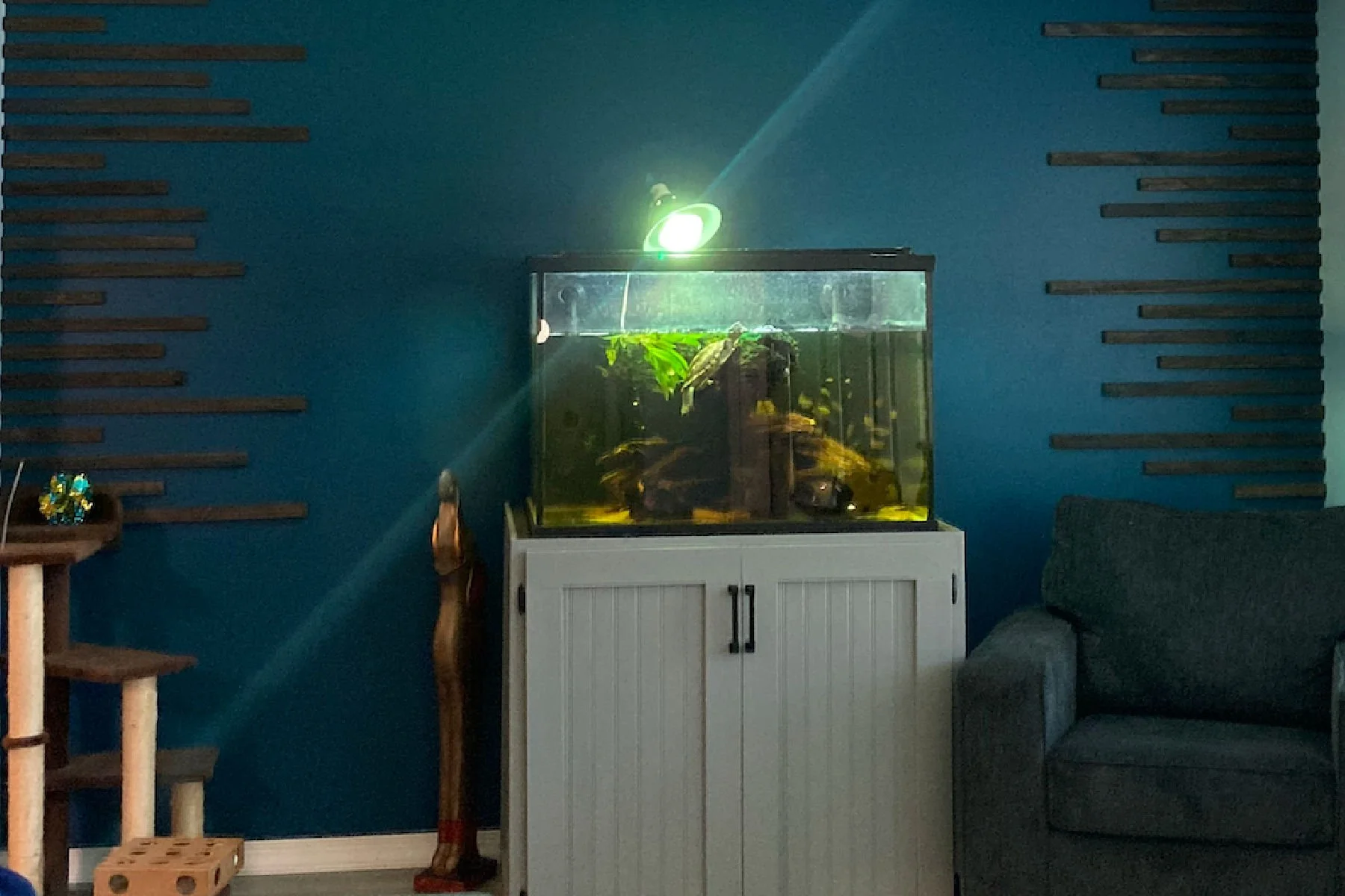 Setting Up Your Aquatic Turtle Tank — Untamed at Home