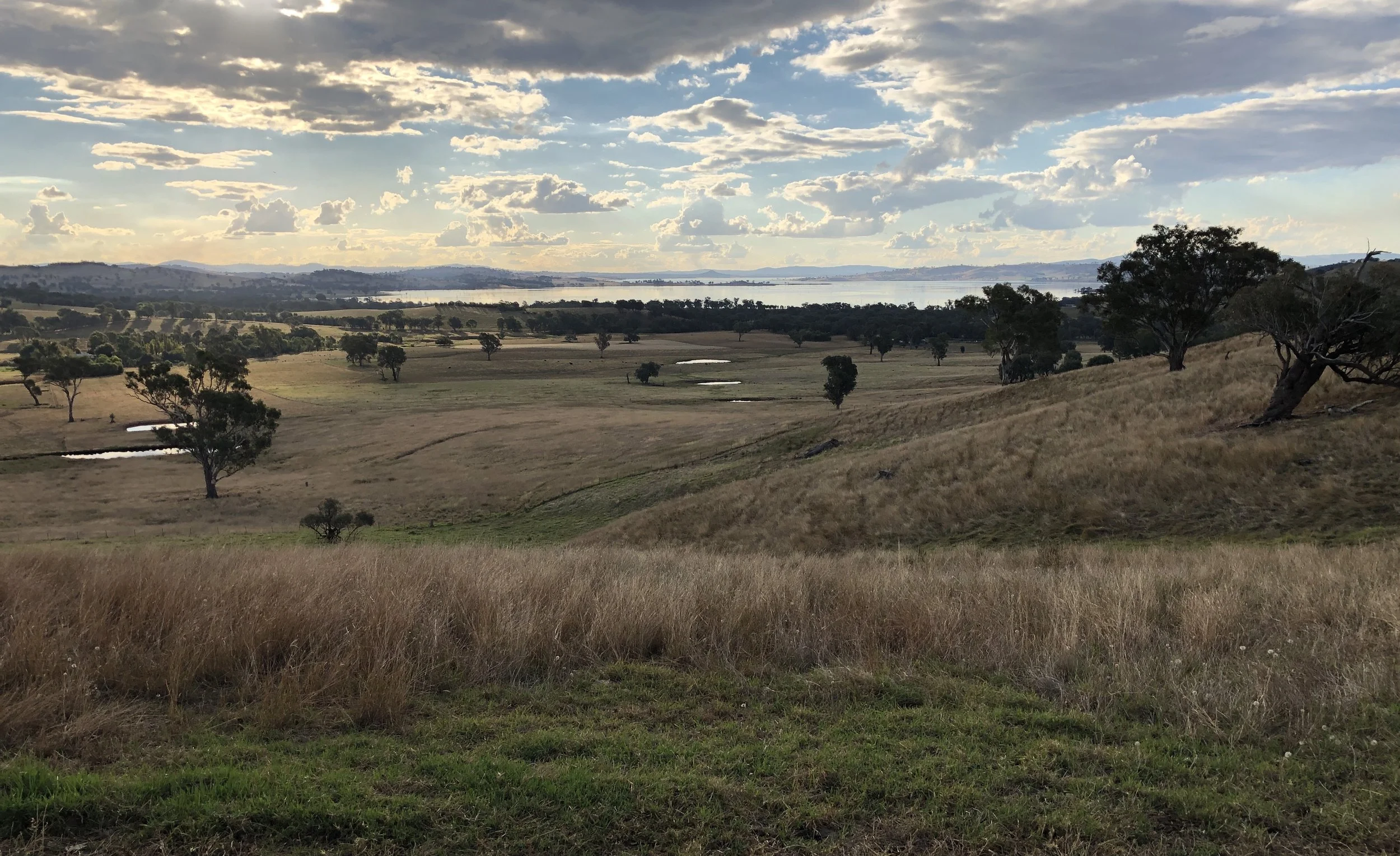 How to Teach PhOrMeS- Reading, Spelling & Vocabulary — PhOrMeS