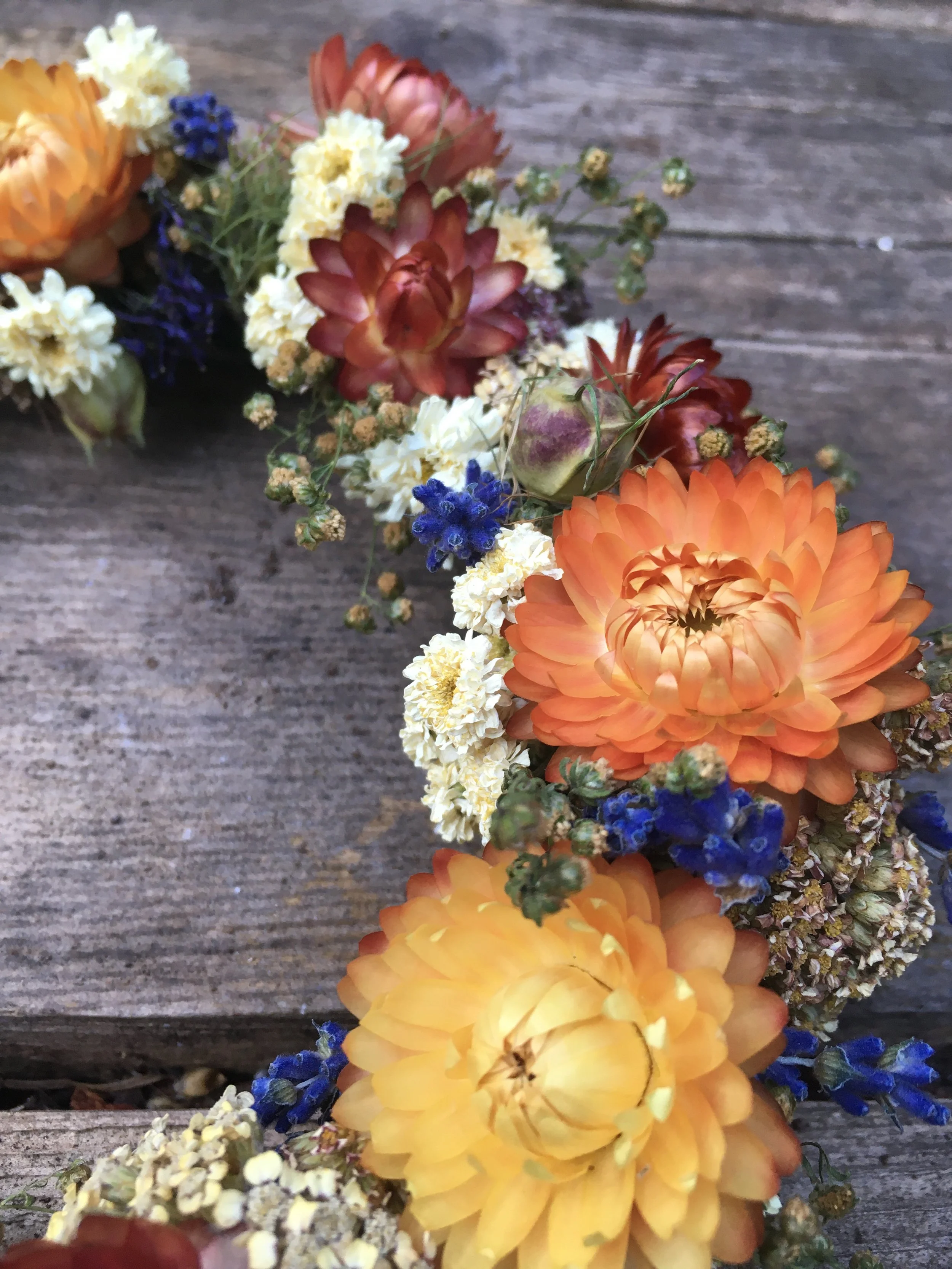 LocaLife Flower Farm