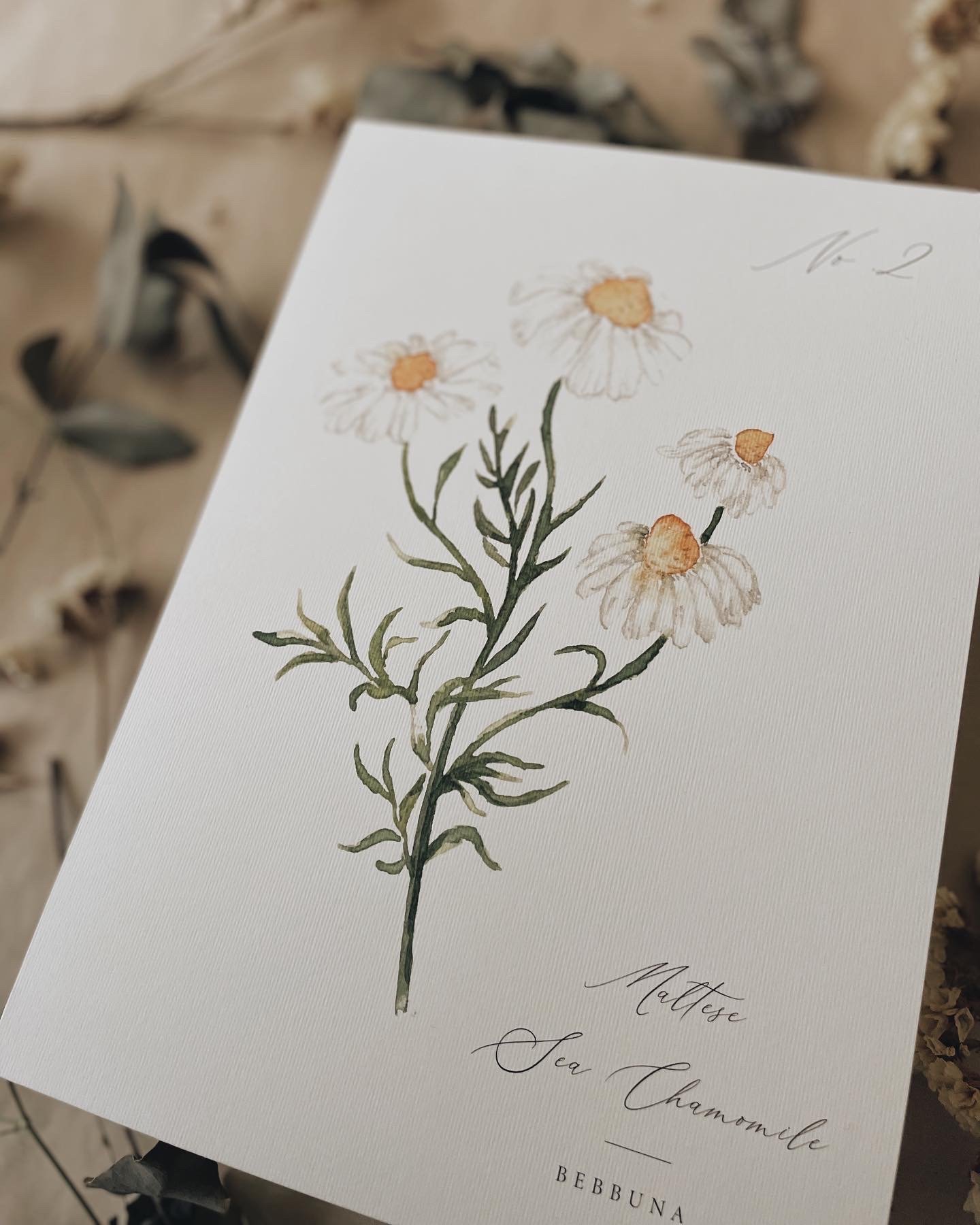 Lavender/Spika | Maltese Botanical A4 ART PRINT — k.arti