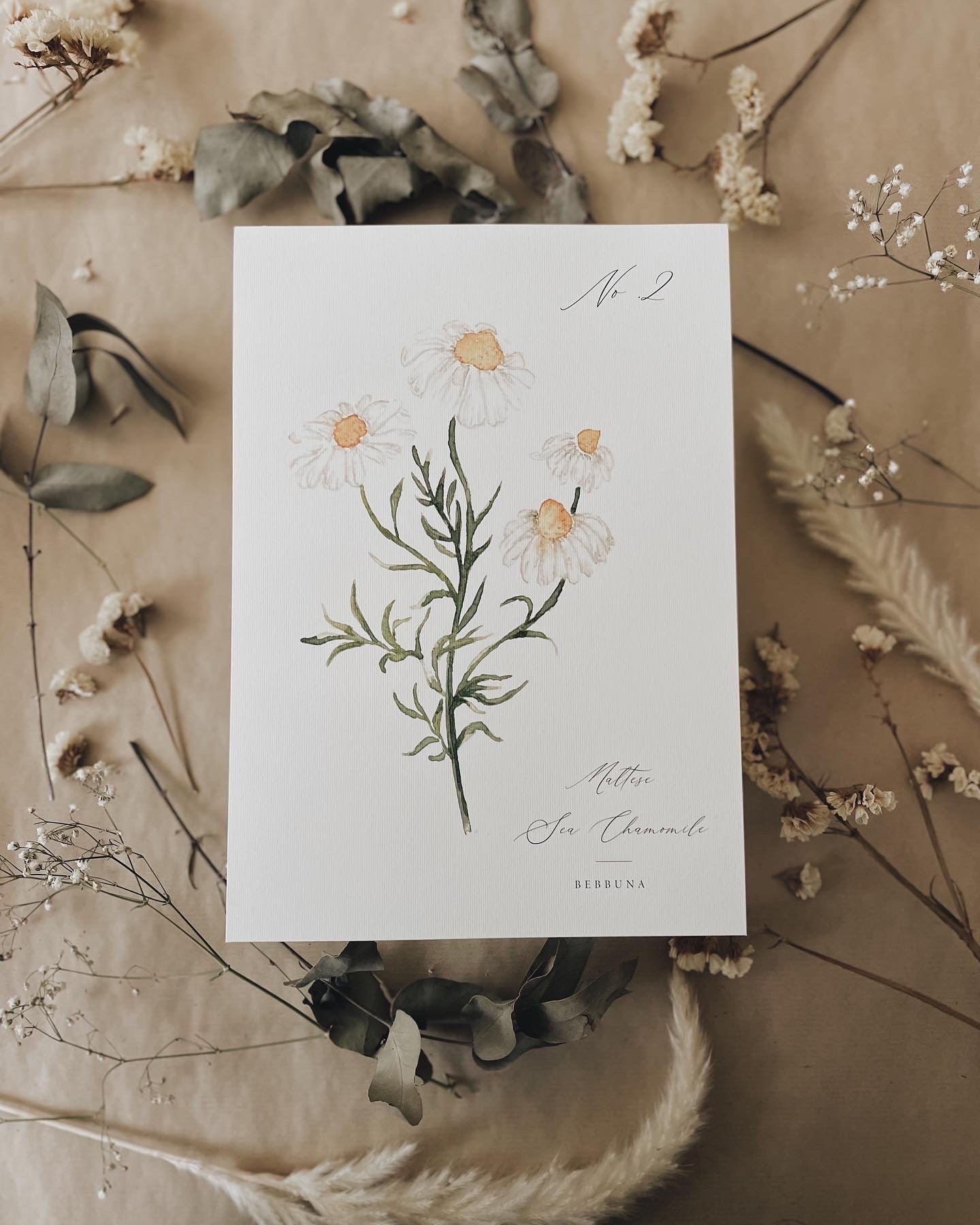 Lavender/Spika | Maltese Botanical A4 ART PRINT — k.arti