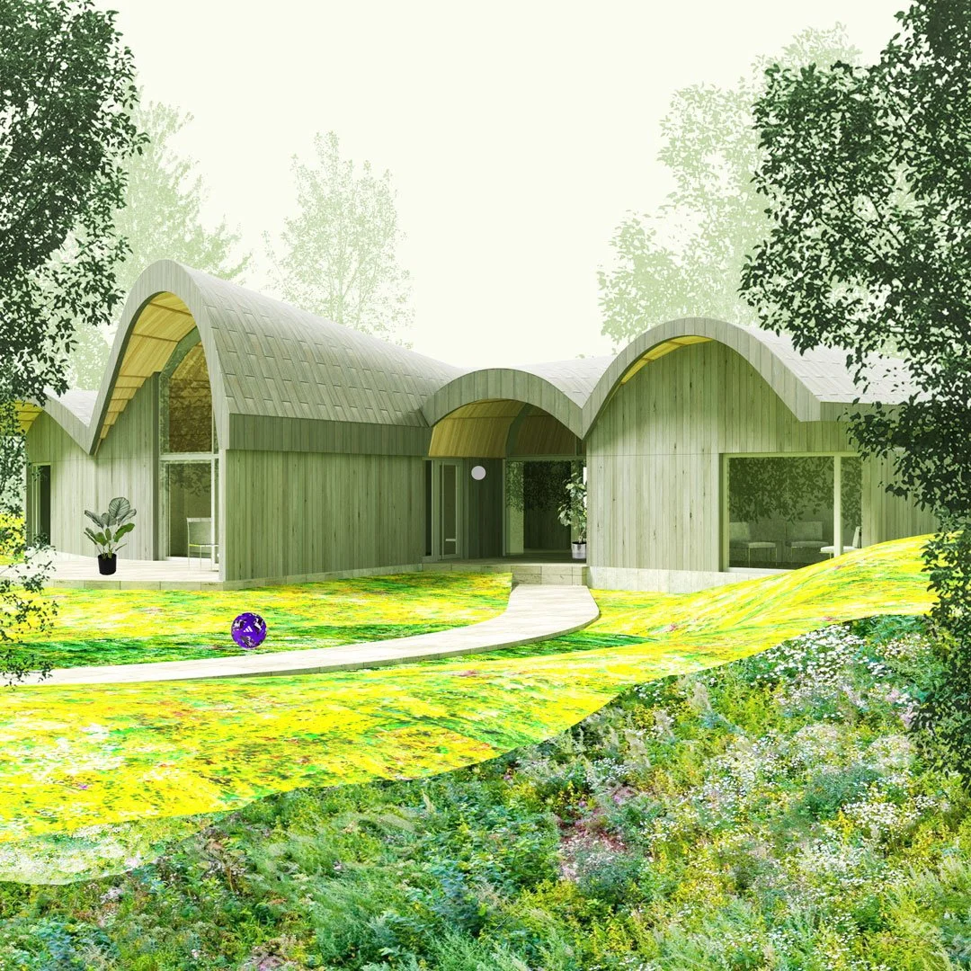 Two Sided House — BAAB