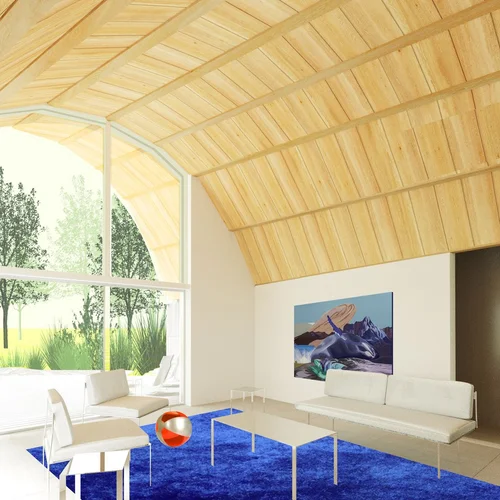 Two Sided House — BAAB