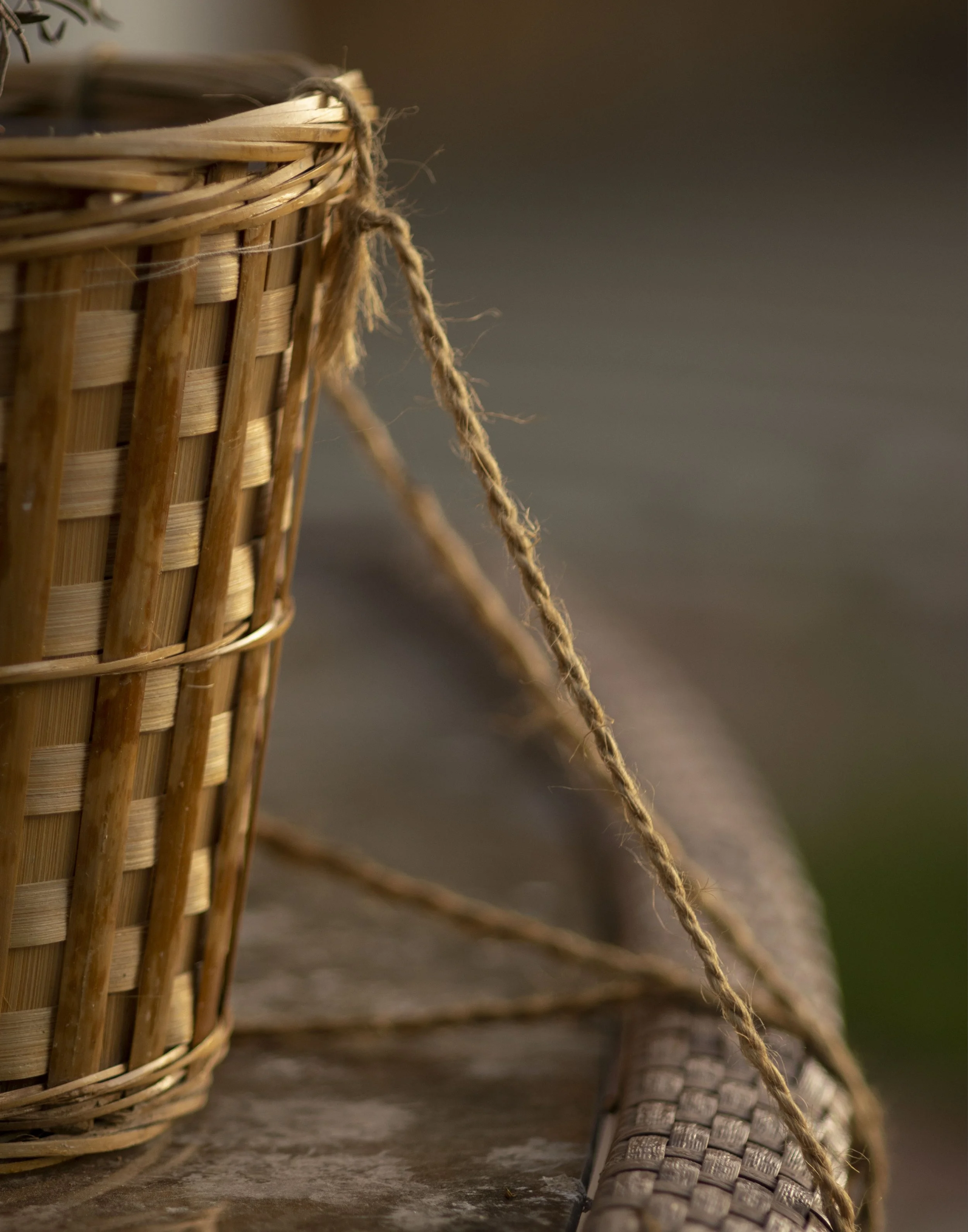 Financial Information — Colorado River BOCES