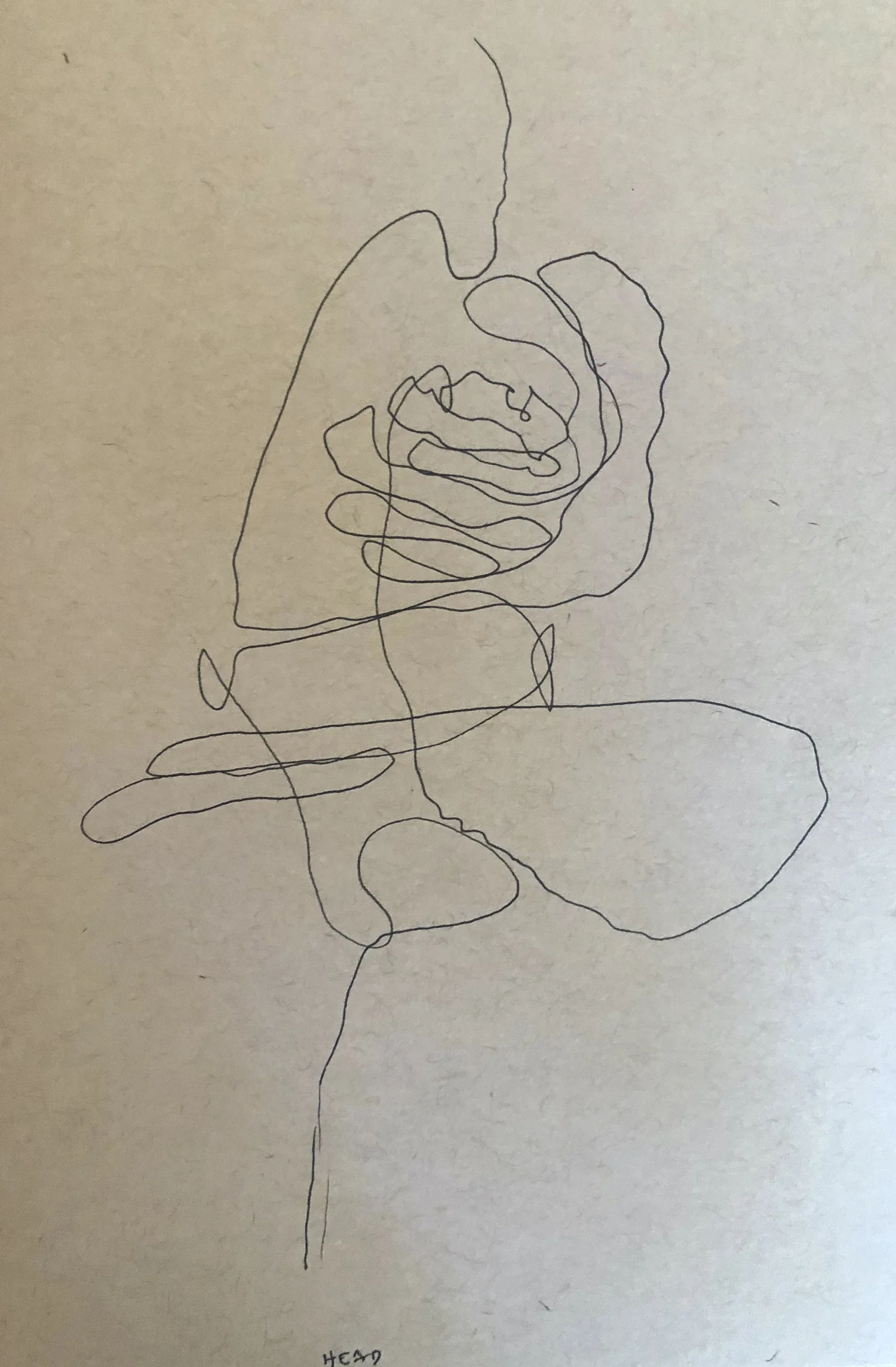 General 1 — brooke smiley