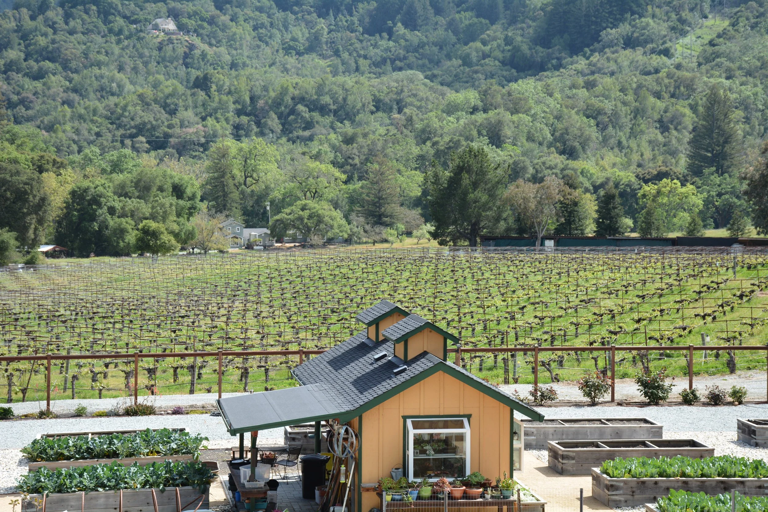 About Therese and an Martin and Martin Ranch Winery — Martin Ranch Winery