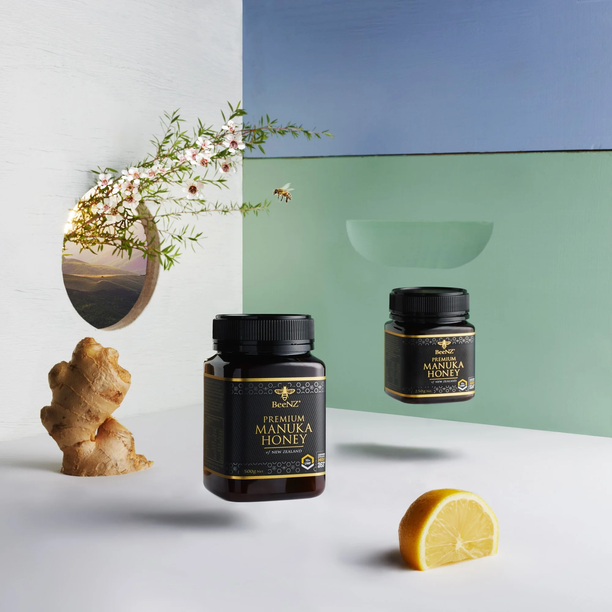 Creative Brand Strategist