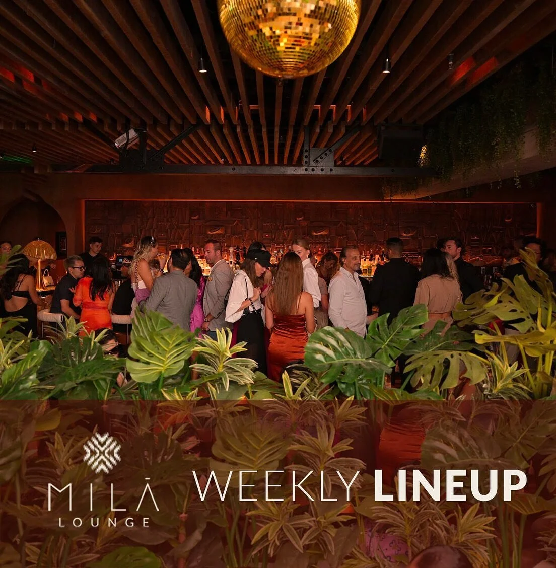 MILA Miami | Exquisite Dining & Rooftop Lounge