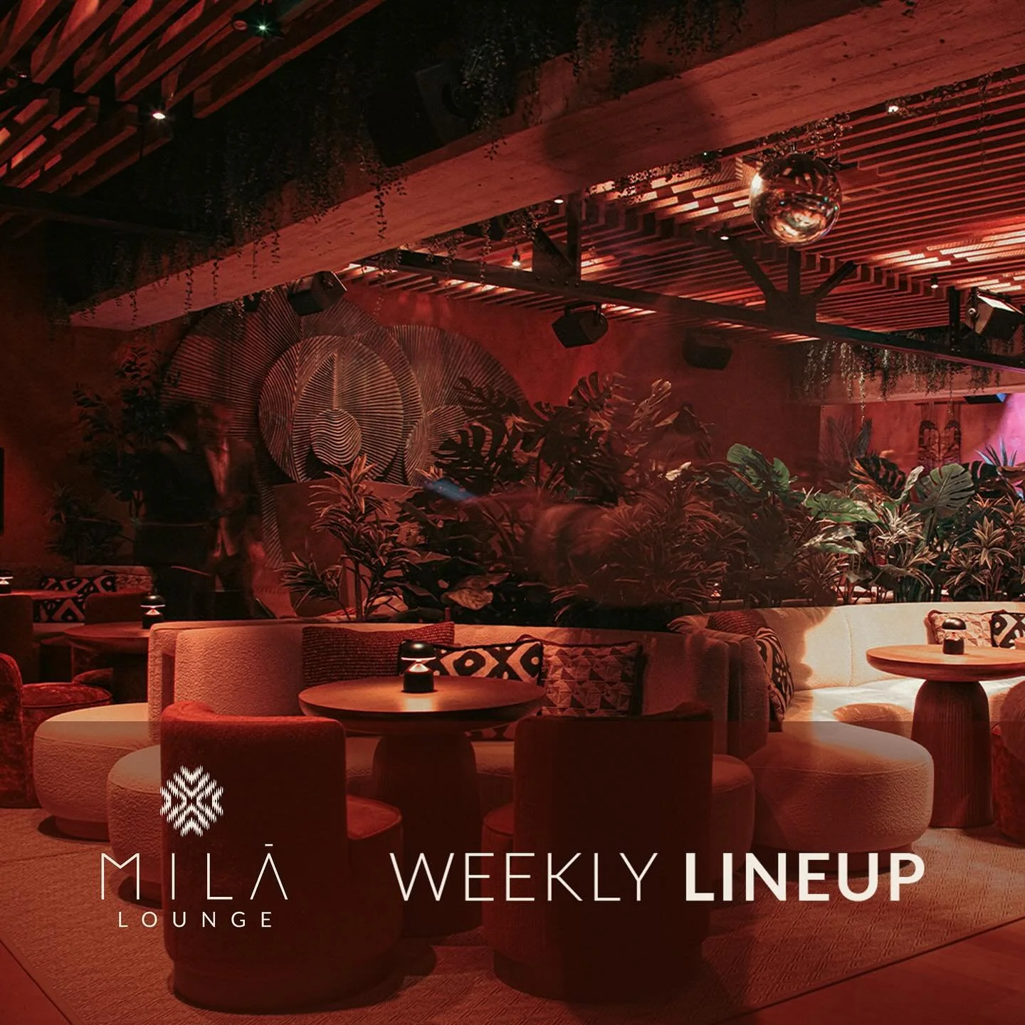 MILA Miami | Exquisite Dining & Rooftop Lounge