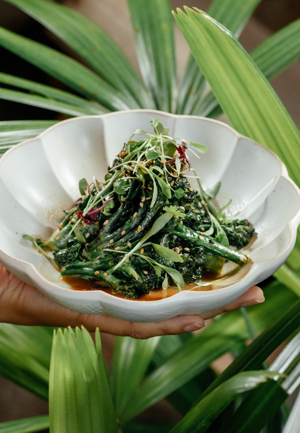 MILA Miami Restaurant | Asian & Mediterranean Cuisine — MILA Miami