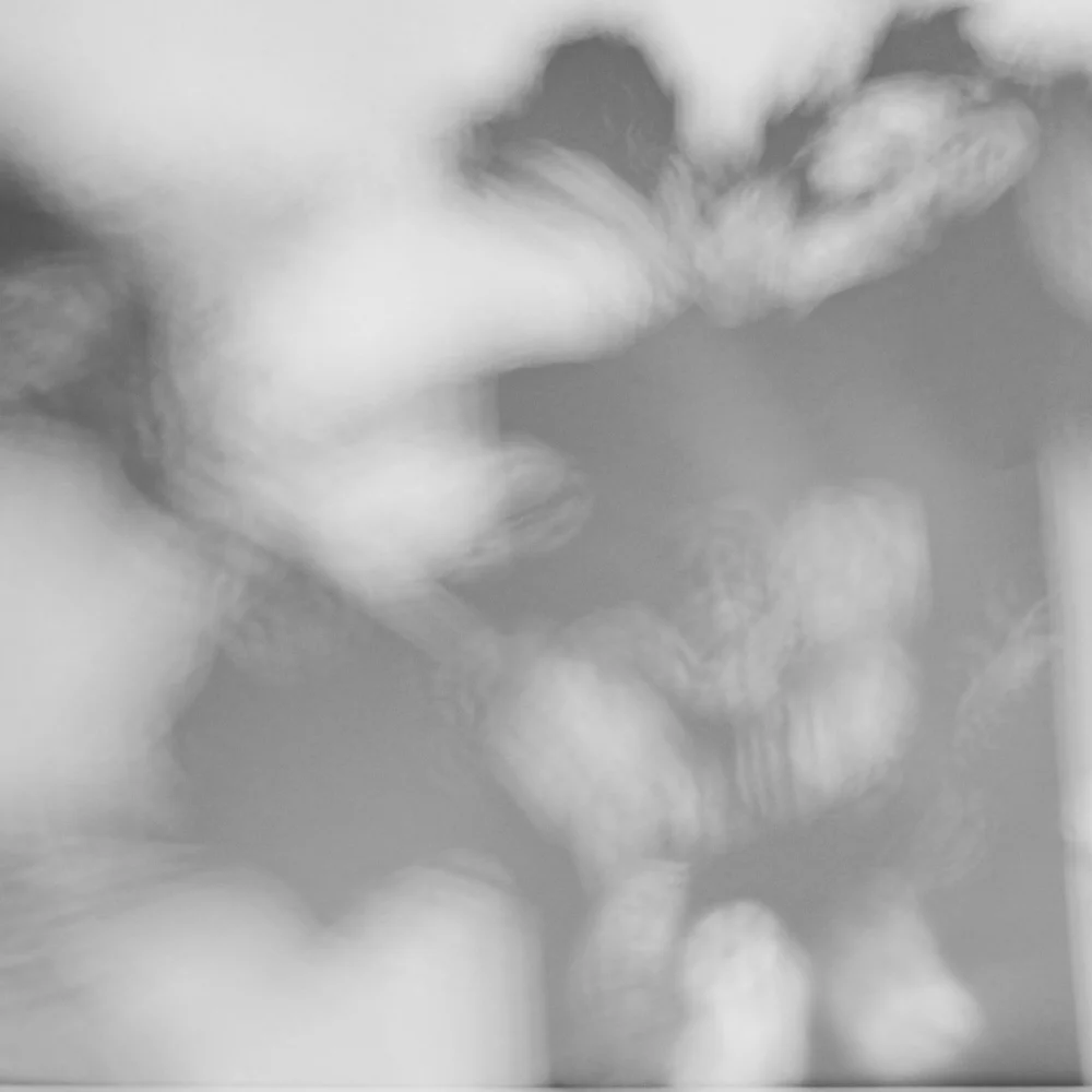 MILA Miami Restaurant | Asian & Mediterranean Cuisine — MILA Miami