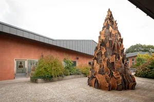 David Nash : Nature Wisdom..David Nash : Doethineb Natur.... — Ruthin ...