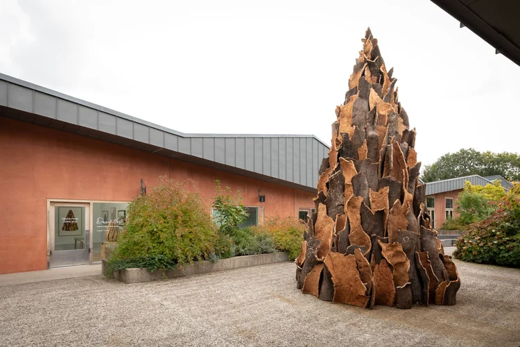 David Nash : Nature Wisdom..David Nash : Doethineb Natur.... — Ruthin ...