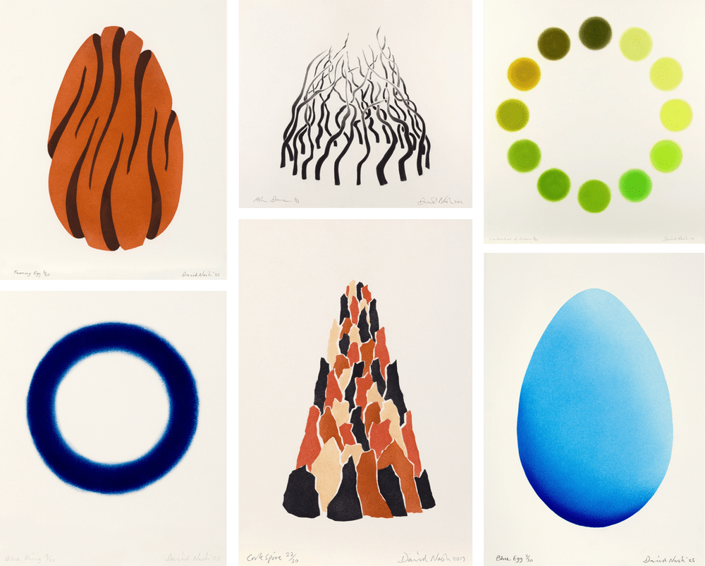 David Nash : Nature Wisdom..David Nash : Doethineb Natur.... — Ruthin ...