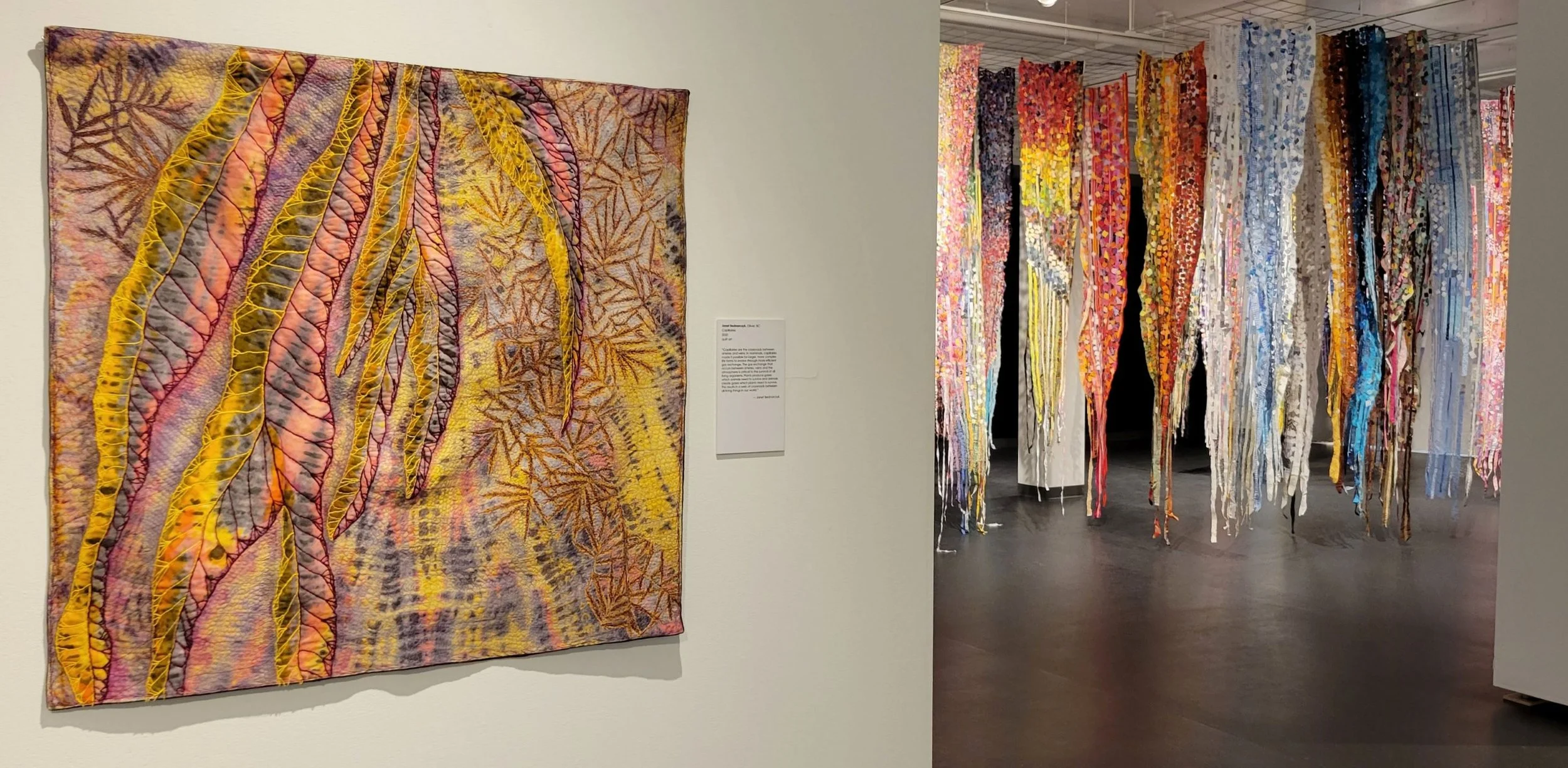 Gossamer and Ground — Jan Jenkins Art