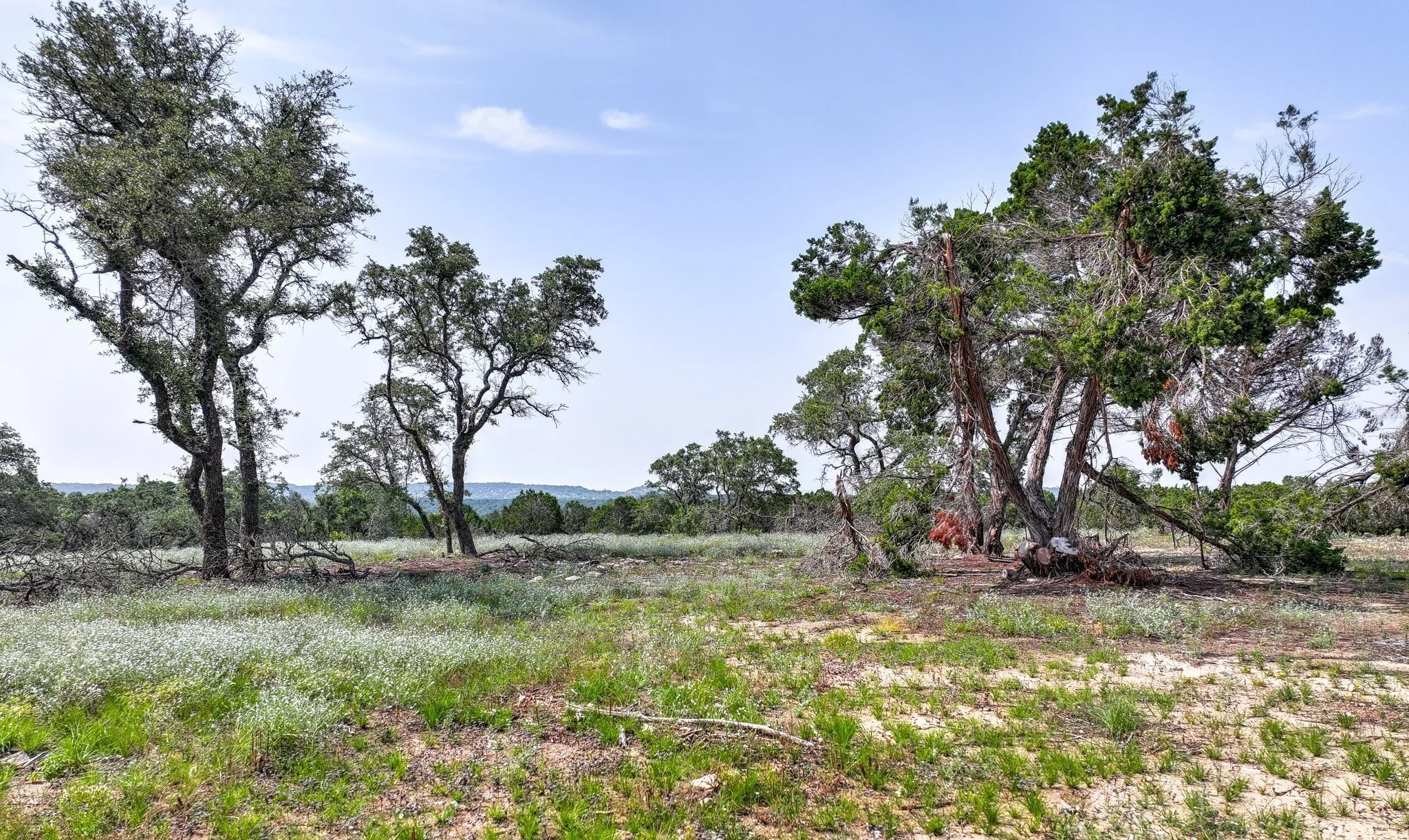 Things Buyers Look for in Central Texas Land — Land Up