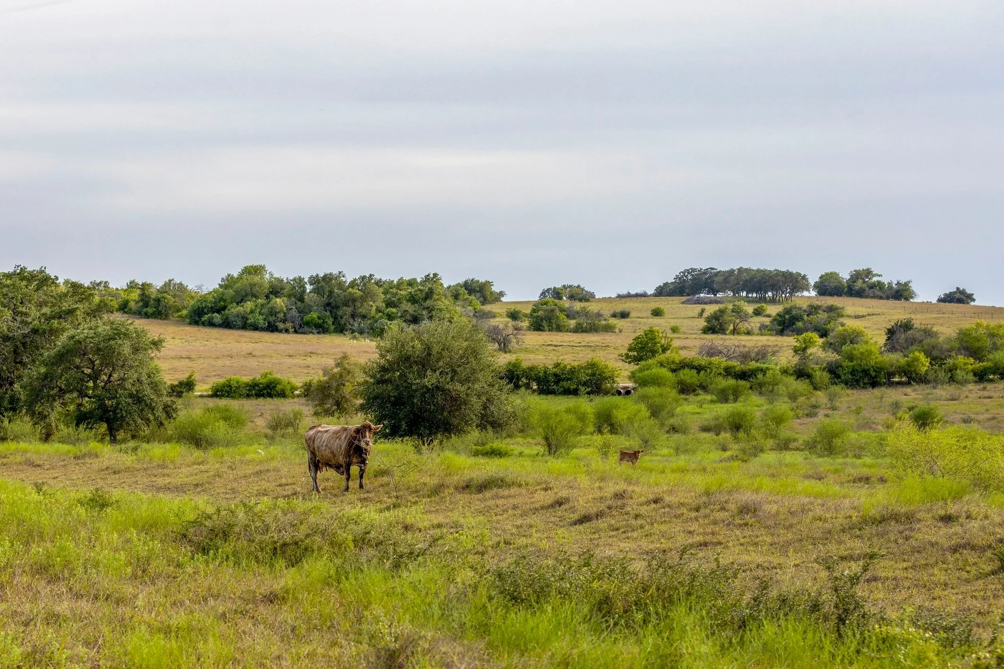 Comal County, Texas | Towns, Zip Codes, Map, and More — Land Up