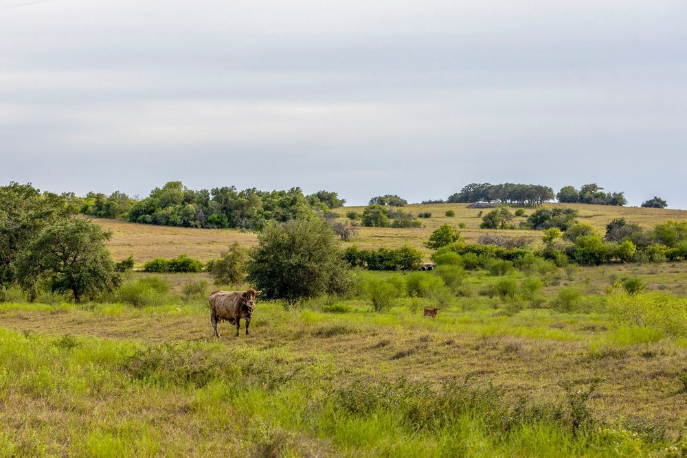 Gonzales County, Texas | Towns, Zip Codes, Map, and More — Land Up