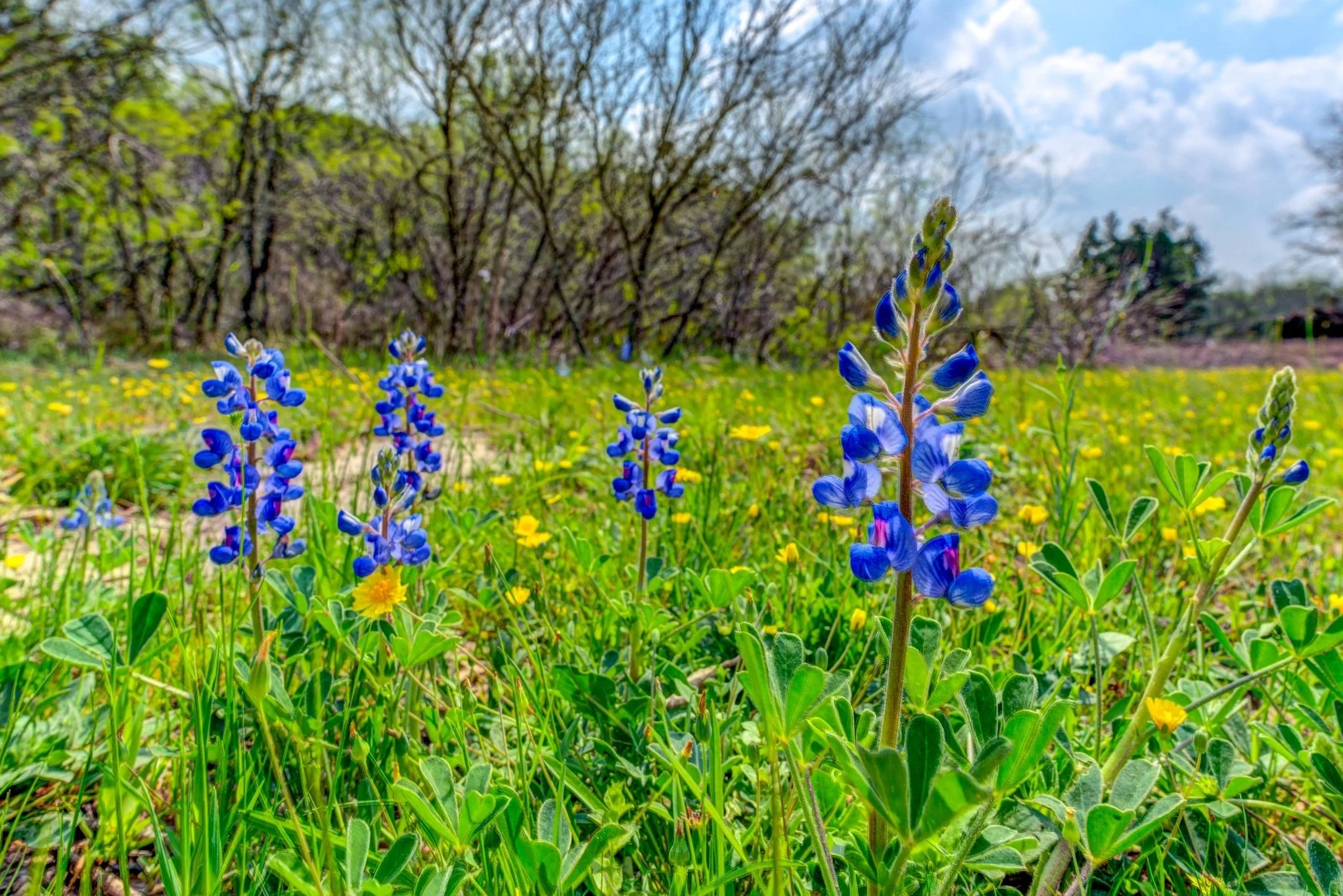 Comal County, Texas | Towns, Zip Codes, Map, and More — Land Up