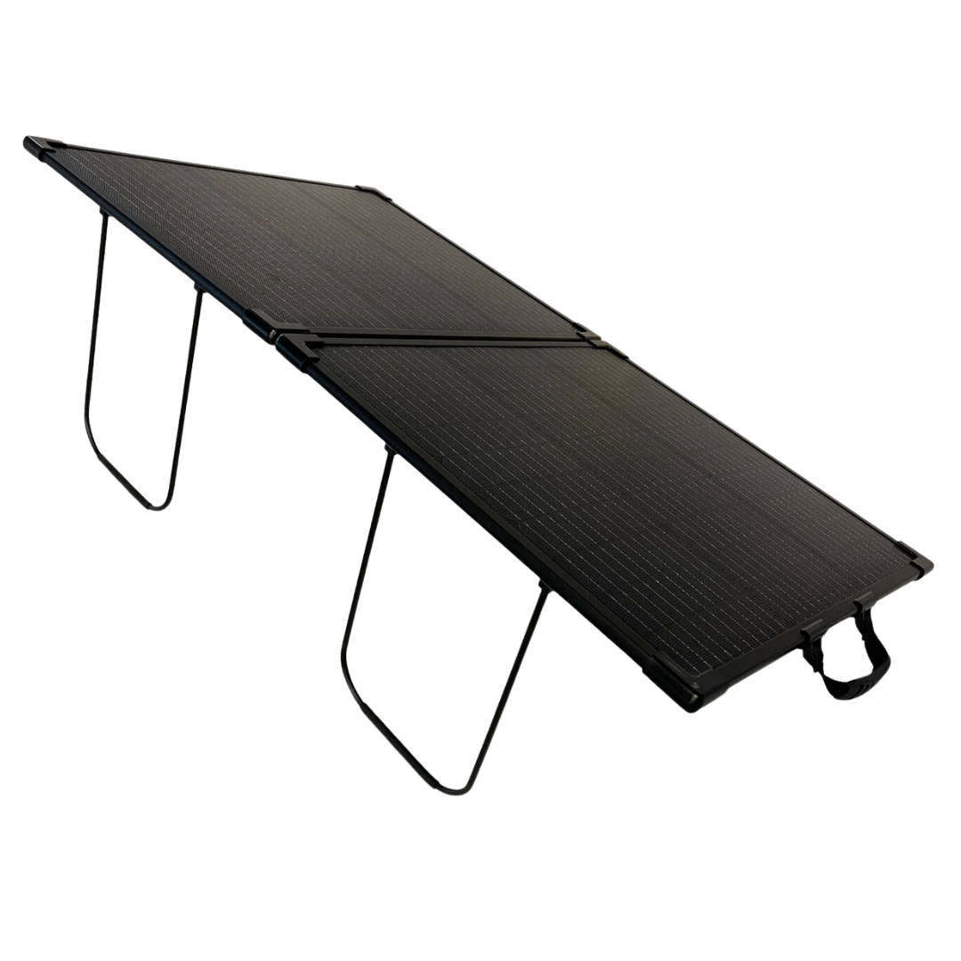 Lion Energy 100W LW 12V Solar Panel — Infinite Energy Advisors